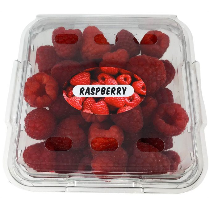 Raspberry Labels with Real Image for Jelly Canning | InStockLabels.com