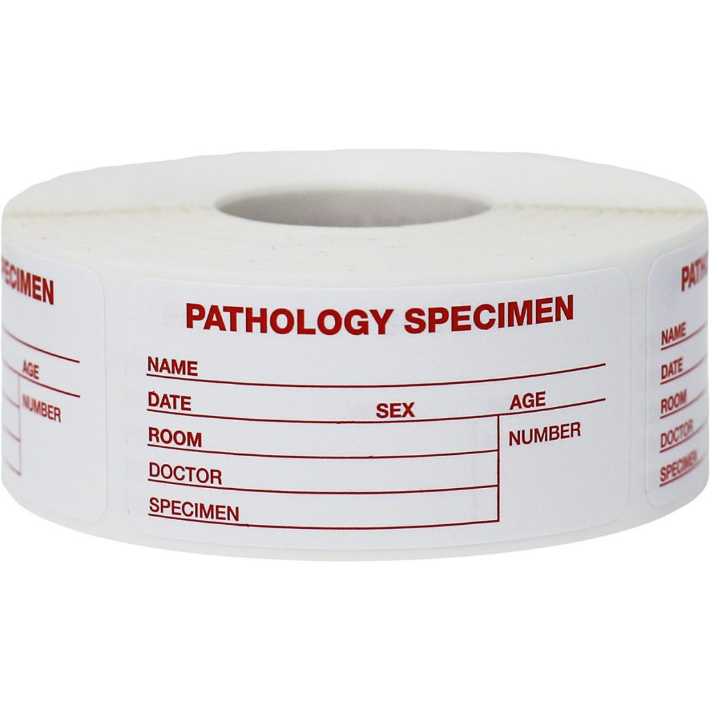 Pathology Specimen File Writable Labels - InStockLabels.com