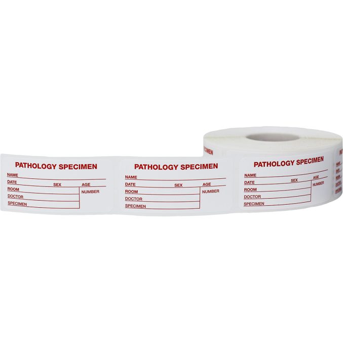 Pathology Specimen File Writable Labels - InStockLabels.com
