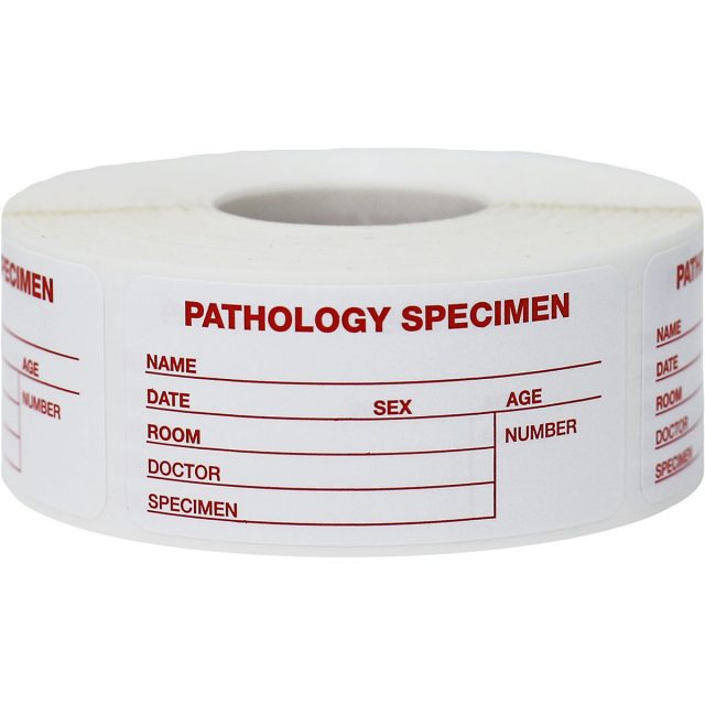 Pathology Specimen File Writable Labels - InStockLabels.com