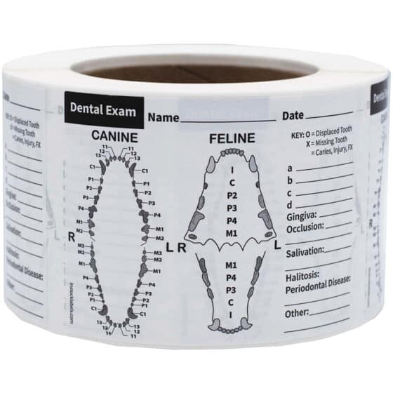 Canine and Feline Dental Exam Veterinary Labels - InStockLabels.com