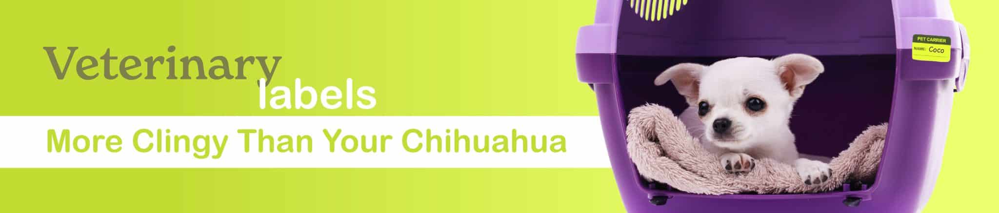 Veterinary Prescription Labels | InStockLabels.com