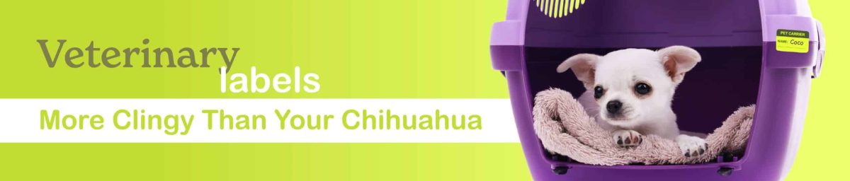 Veterinary Prescription Labels | InStockLabels.com