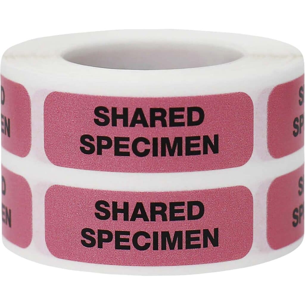 Shared Specimen File Labels - InStockLabels.com